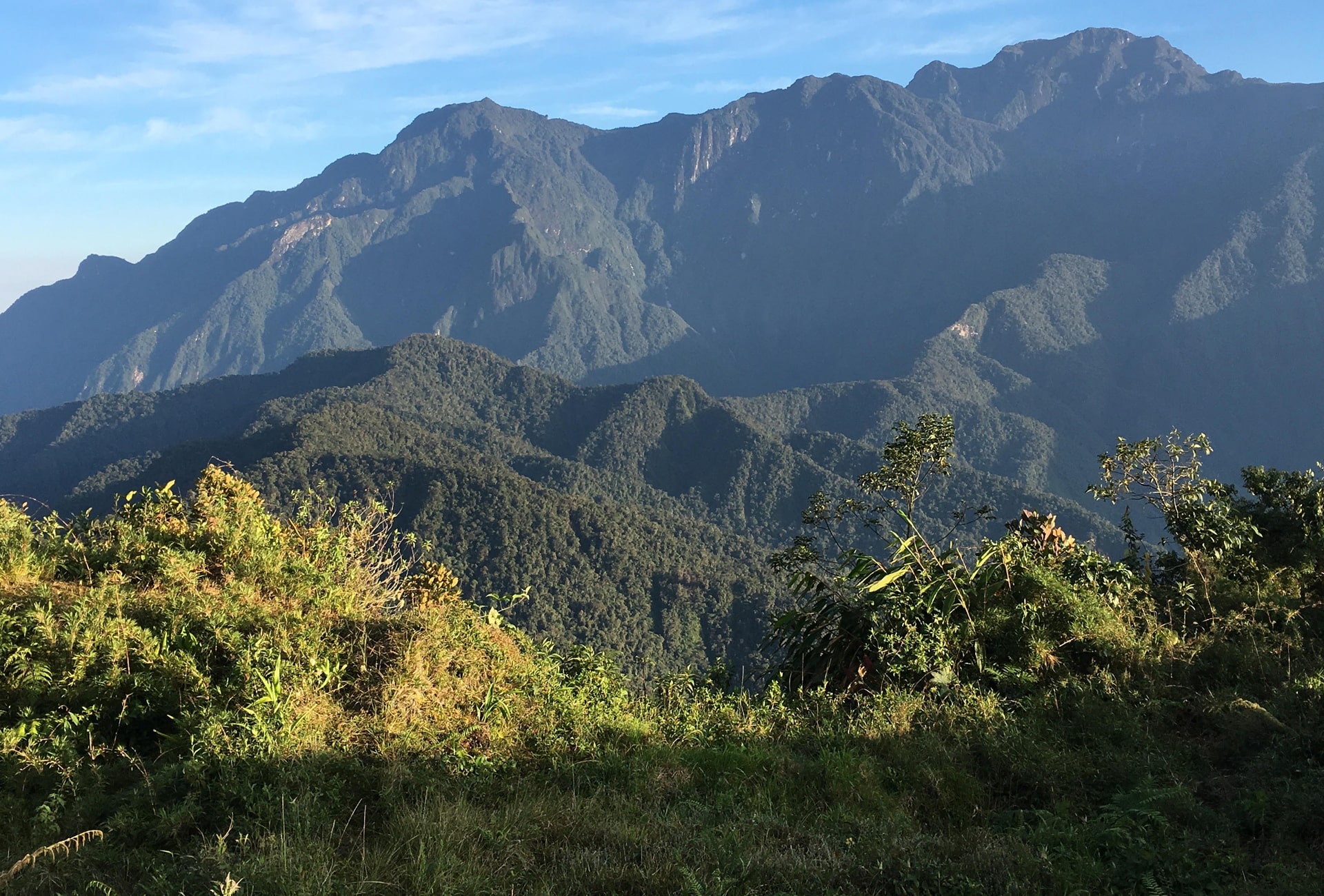 Safeguard the “grandfather of the rivers” watershed in Colombia ...