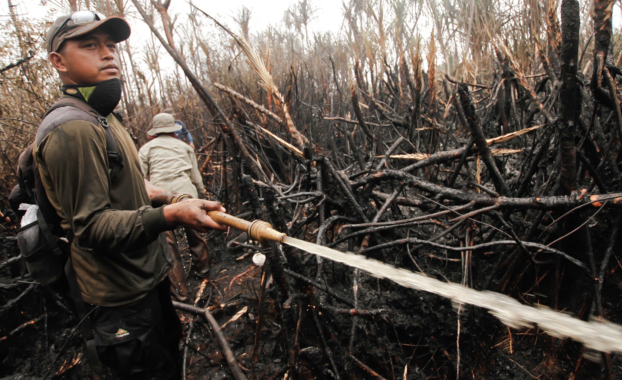 What is “Natural” about Natural Disasters? – Rainforest Trust