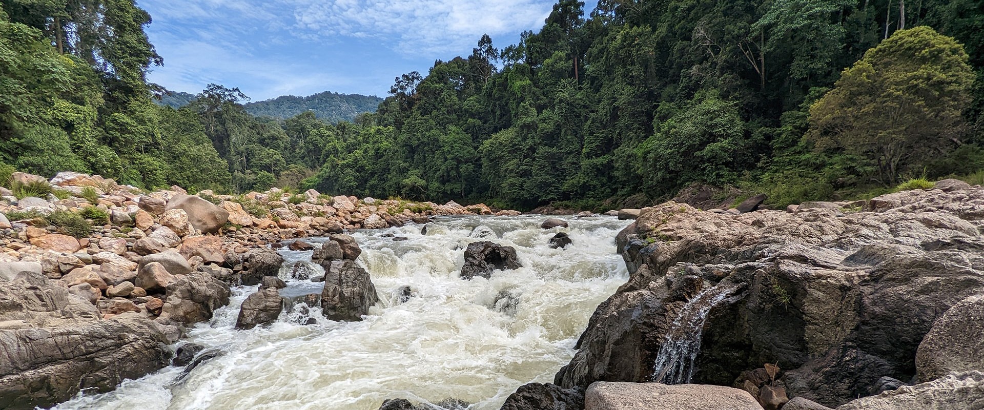June 2025 – Rainforest Trust